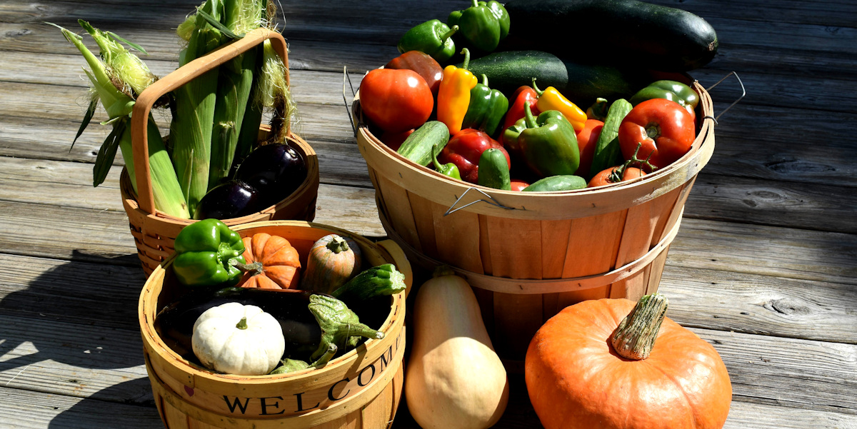 Harvest 2023 – An Engaging Faith Community